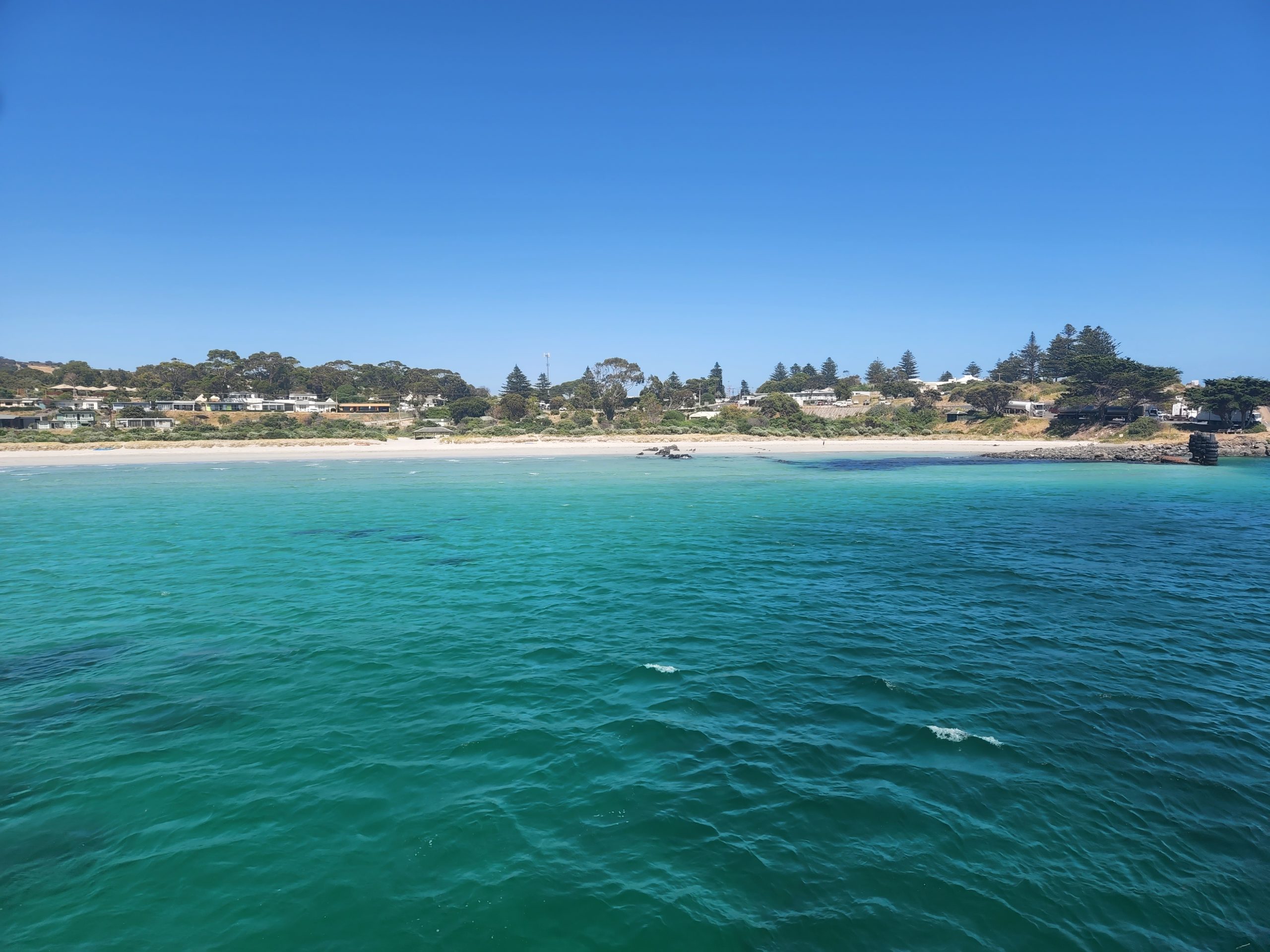 Outreach Services to Kangaroo Island | Ability Action Australia