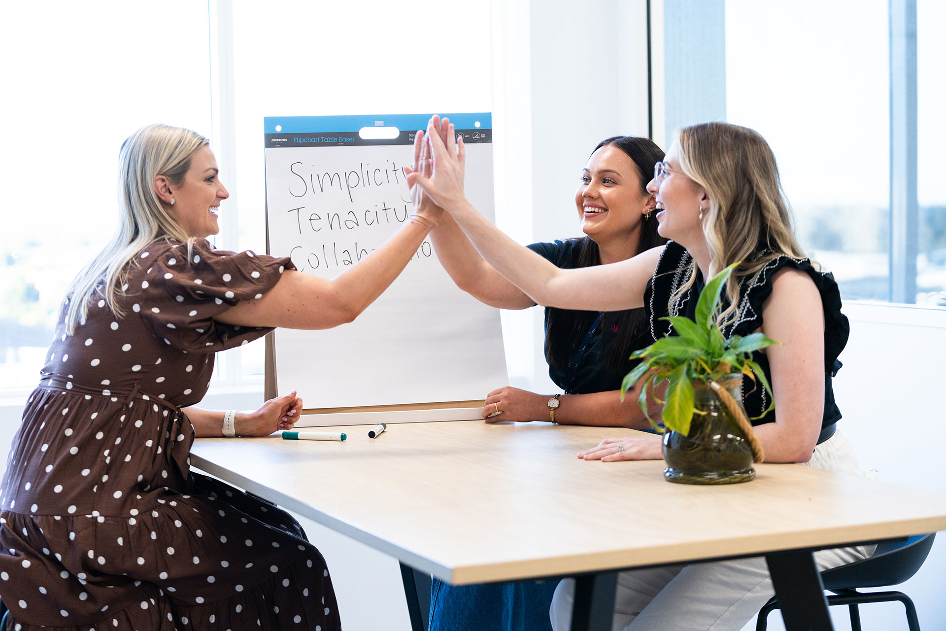 What is Positive Behaviour Support? | Ability Action Australia